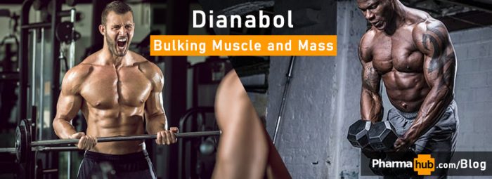 Dianabol Cycle: Dbol Steroids for Bulking Muscle and Mass | PharmaHub.to