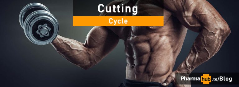 Primobolan Steroid Injection | Methonolone for Sale in USA | Pharmahub